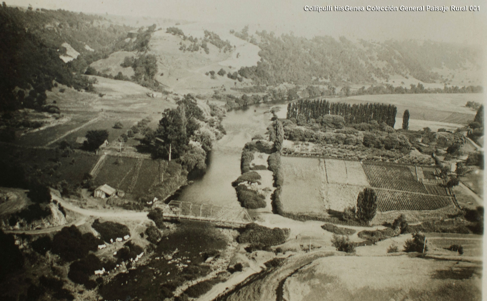 migrantesenlafrontera Collipulli